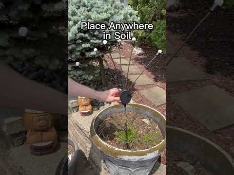 How to Attract Fireflies to Your Backyard