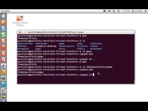 The cd Command in Linux