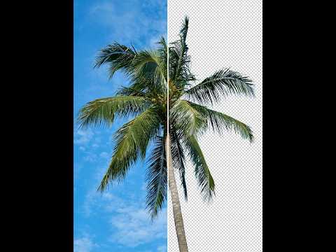 Photoshop 2025 Tips - How to Remove Blue Sky Background #ducthangds