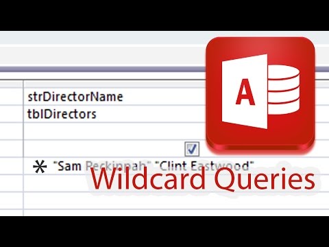 Wildcard Characters in Query Design Access