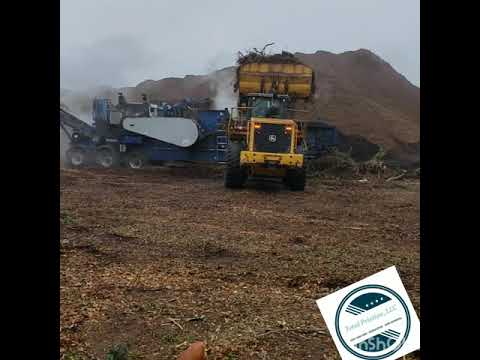 How mulch is made from your old trees