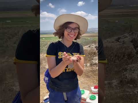 What is archaeology? ๐ถ