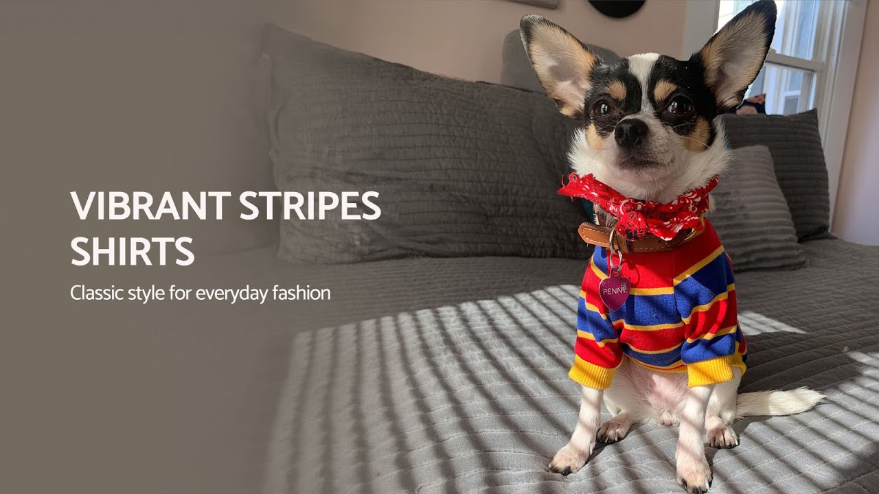 Double the Fun with Fitwarm's 2-Pack 100% Cotton Striped Dog Shirts