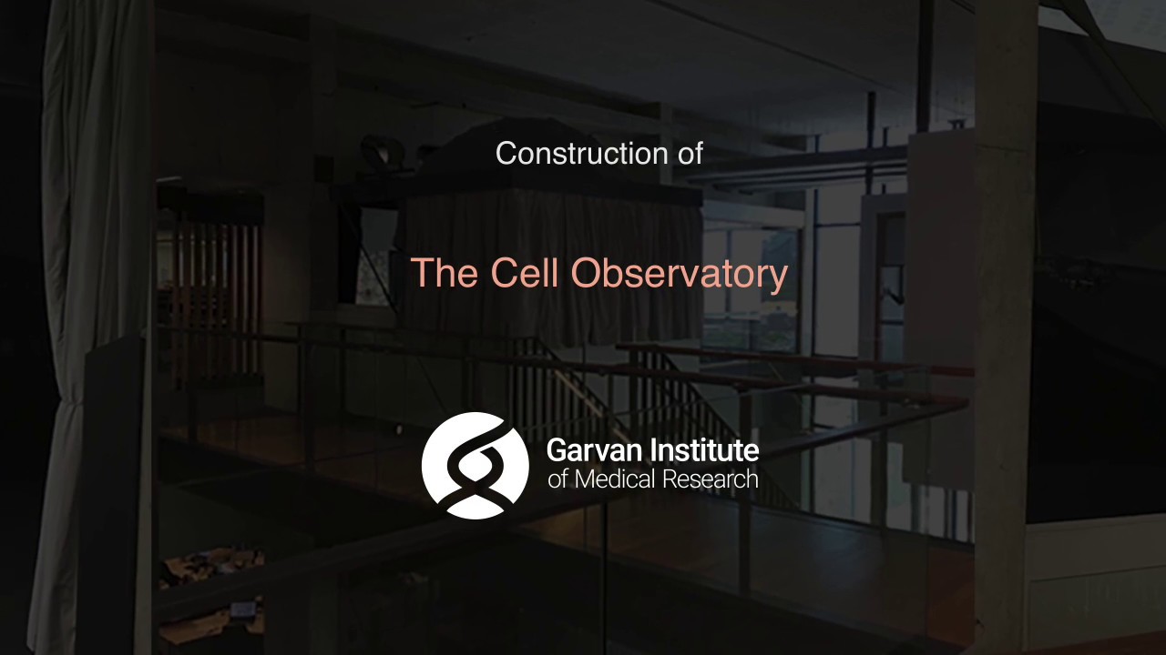 Cell Observatory - Construction