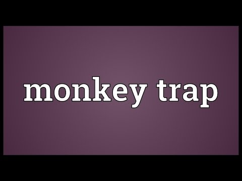 Monkey trap Meaning