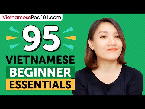 Learn Vietnamese: 95 Beginner Vietnamese Videos You Must Watch