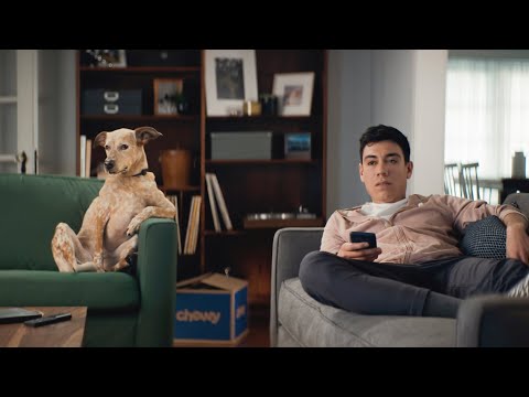 Pets Aren't Just Pets, They're More: Best Friend | Chewy