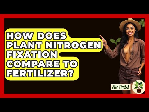 How Does Plant Nitrogen Fixation Compare To Fertilizer? - The Plant Enthusiast