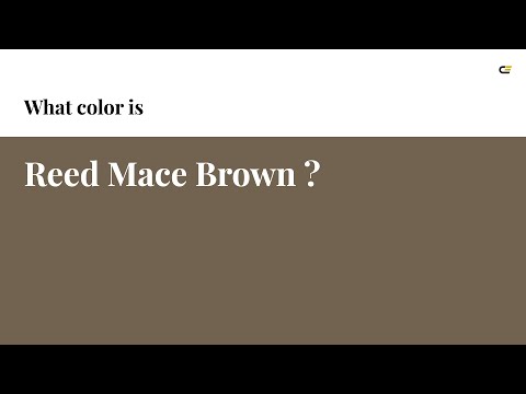Reed Mace Brown color #726250 hex color - Yellow color - Cool color 726250
