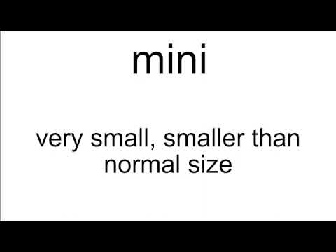 mini meaning | Vocabulary for Kids | Children's Dictionary | Learn English Vocabulary
