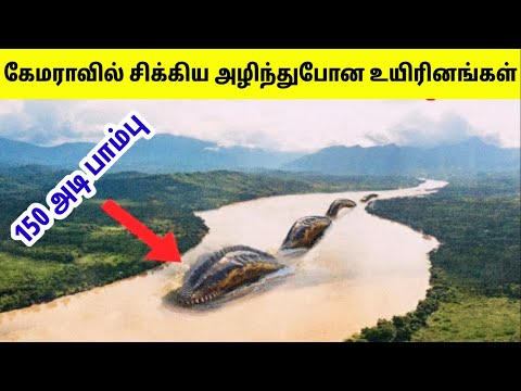 புராண கால உயிரினங்கள் #3 | Dangerous Animals That Existed | Tamil Amazing Facts | Mythical Animals