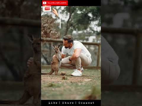Pat | Daily English Word #shorts #youtubeshorts