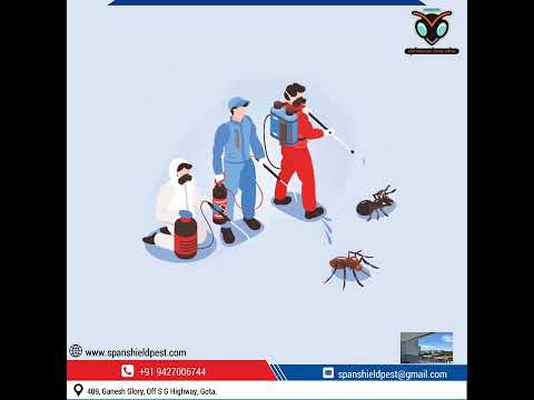 House Flies Control Services in India