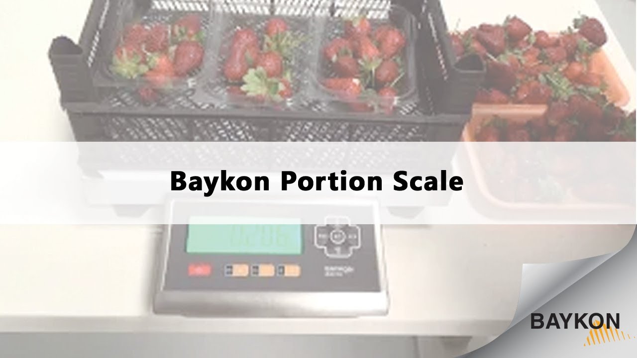 Baykon Portion Scale