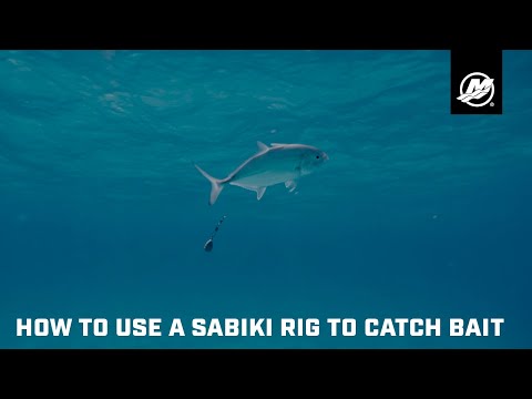 How to Use a Sabiki Rig to Catch Bait