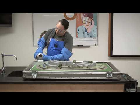 Maglev Trains