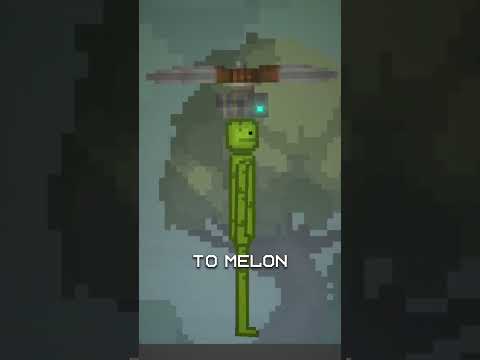 How much does Melon weigh in Melon Sandbox?