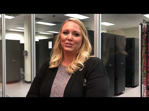 Day in the Life - Information Technology