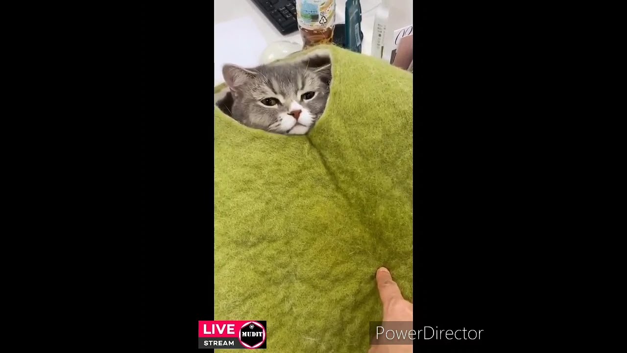 Hidden Pussy