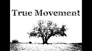 True Movement at Fallout New Vegas - mods and community
