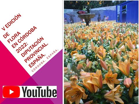 V EDICIÓN DE FLORA EN CÓRDOBA 2022: DIPUTACIÓN PROVINCIAL. España.