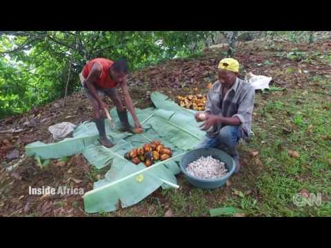 Alegio Chocolate / Claudio Corallo - CNN: Sao Tome and Principe's chocolate revival.