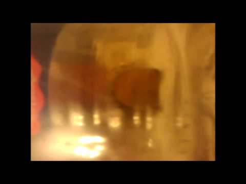Homemade Showerhead perc