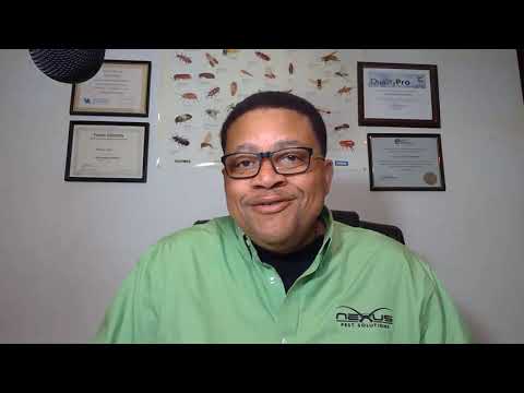 Bedbug Milwaukee Treatments, Heat or Chemical?