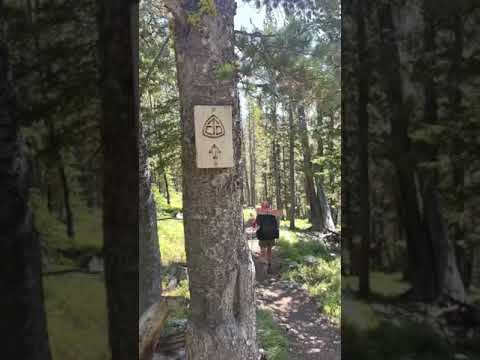 Stats from our Continental Divide Trail thruhike!