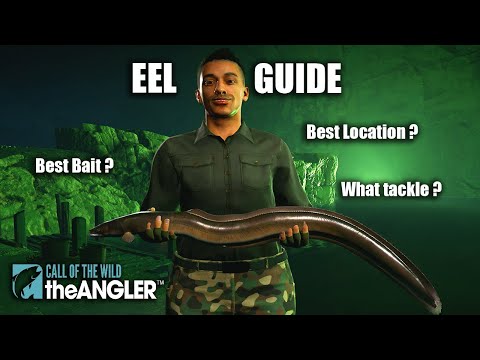 Steam Community :: Video :: Call of the wild theAngler - Eel Guide