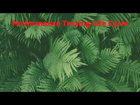 Performance Testing Life Cycle