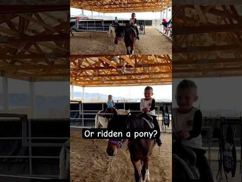 Farm Animals For Kids 🐮Learn Through Play & Hands On! Feed Cows, Lammas, Sheep, Goats, Ducks & More