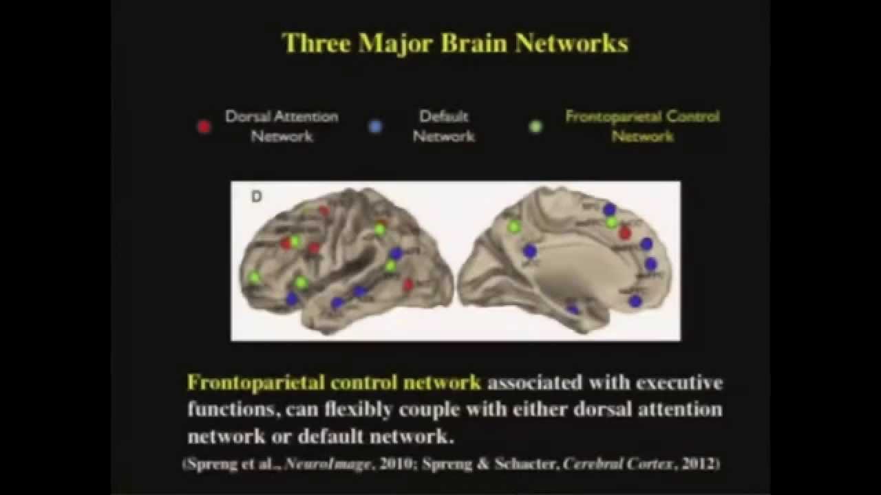 From Principles of Cognitive Science to MOOCs