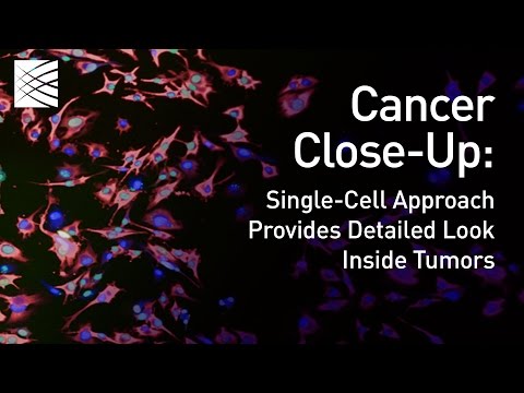 Cancer Close-Up: Single-Cell Approach Provides Detailed Look Inside Tumors (2016)