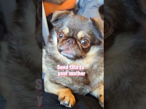 Send This To Your Mother!