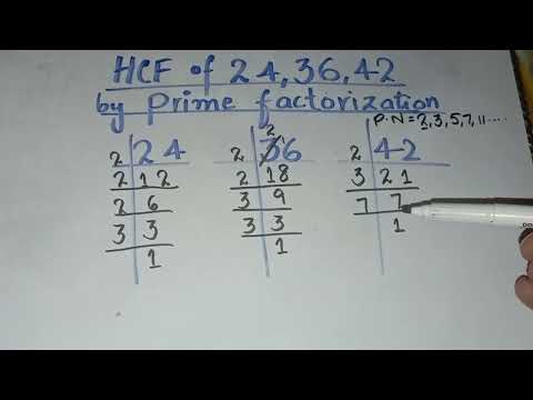 Hcf of 24 36 42 | by prime factorization | in Urdu/Hindi |