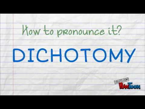 Day 33- WORD(Dichotomy)