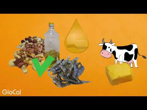The 7 Food Groups for Children (English)