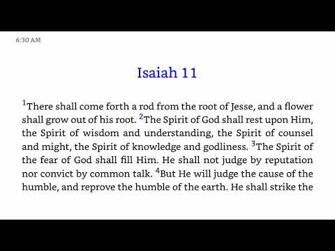 Bible Lesson 8 (Isaiah 11:1-5, 11-12)