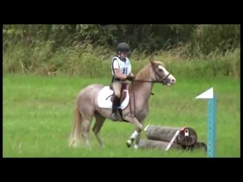 Sarah Haberman; Lincoln Creek Pony Club Schooling Horse Trials; August 2016