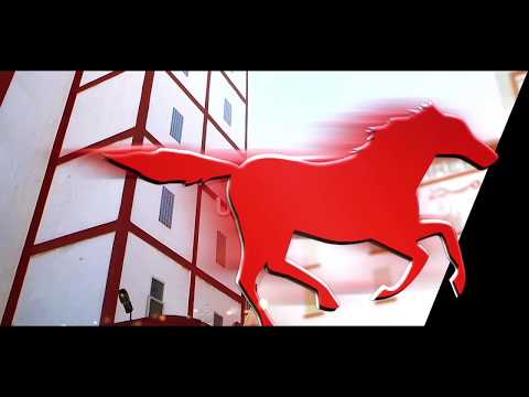La société nouvelle des moulins du Maghreb, 100 ans déjà