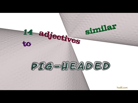 pig-headed - 14 adjectives which are synonym of pig-headed (sentence examples)