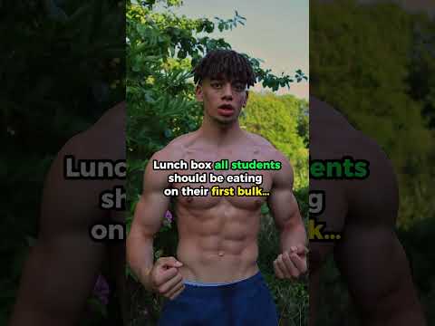 BEST BULKING LUNCH BOX