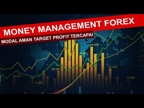 Understanding Money Management Trading Strategy | Wijaya Trading Jember