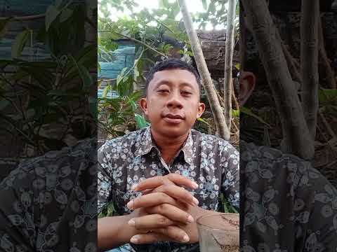 saat kecil main sampai lupa waktu, saat dewasa kerja sampai lupa waktu#nasehat #motivasi