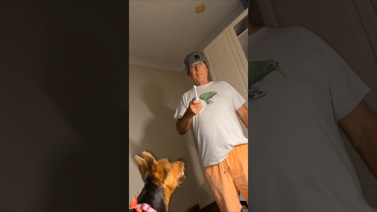 Beatrice back at it again 😂🐶🧦 #dad #dog #dadsof #viral #foryoupage #viralvideo #fypシ
