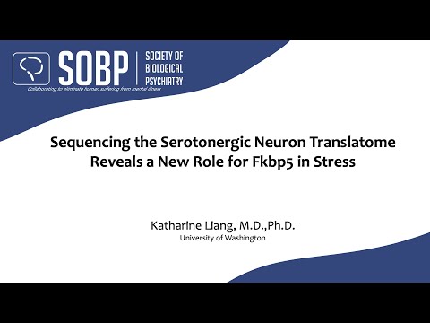 Sequencing the Serotonergic Neuron Translatome Reveals a New Role for Fkbp5 in Stress