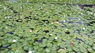 3 Best Public Parks in Abbotsford, BC - Expert Recommendations