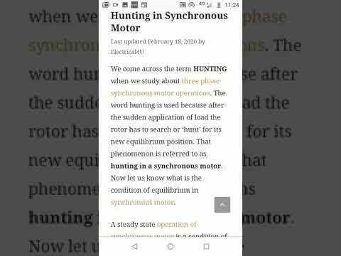 Hunting in Synchronous Motors