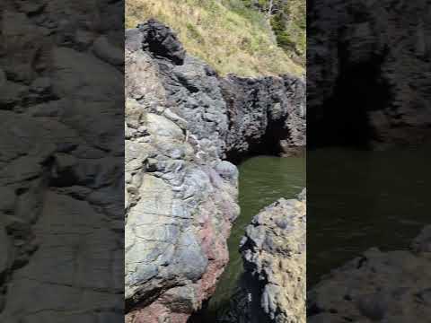 2024-08-11 devils churn 1. Oregon coastal highway
